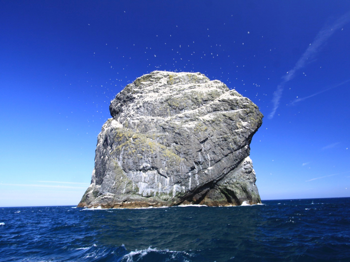 Scottish Cruise St Kilda and the Shiants